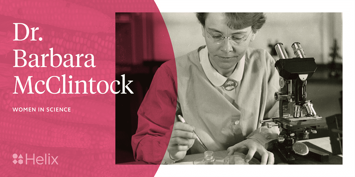 Dr. Barbara McClintock: Maize, jumping genes, and a Nobel Prize | Helix