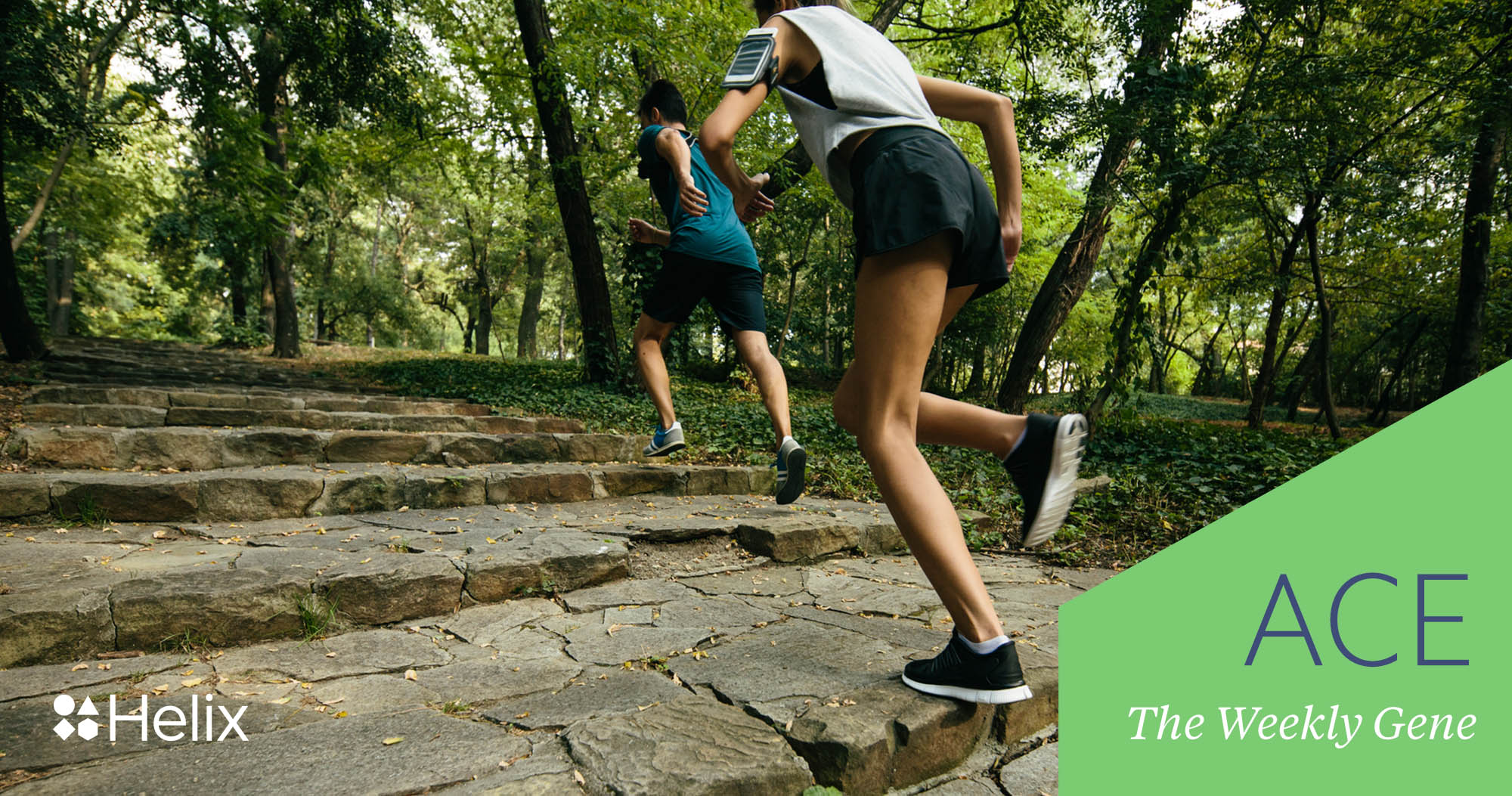 Can genetics help you work out more effectively? | Helix