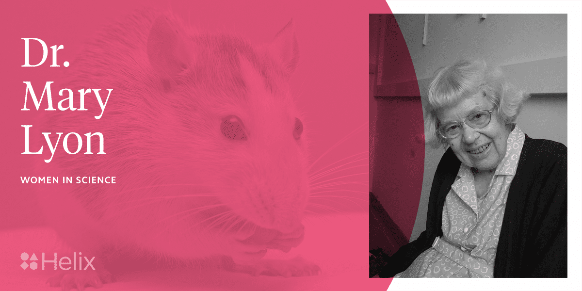 Dr. Mary Lyon: From mice to mosaicism | Helix