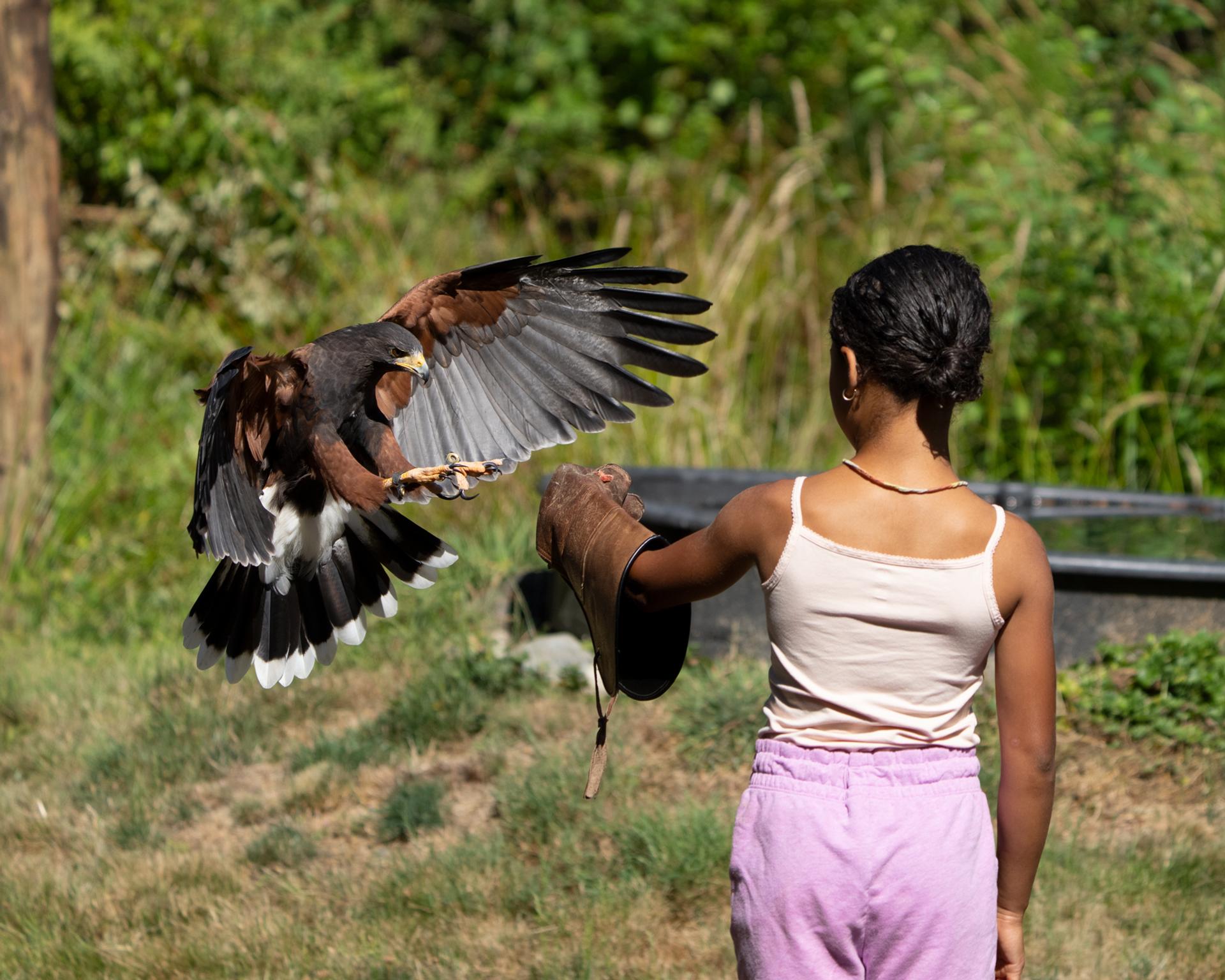 Admission & Experiences | The Raptors