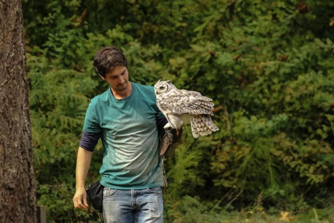 Admission & Experiences | The Raptors