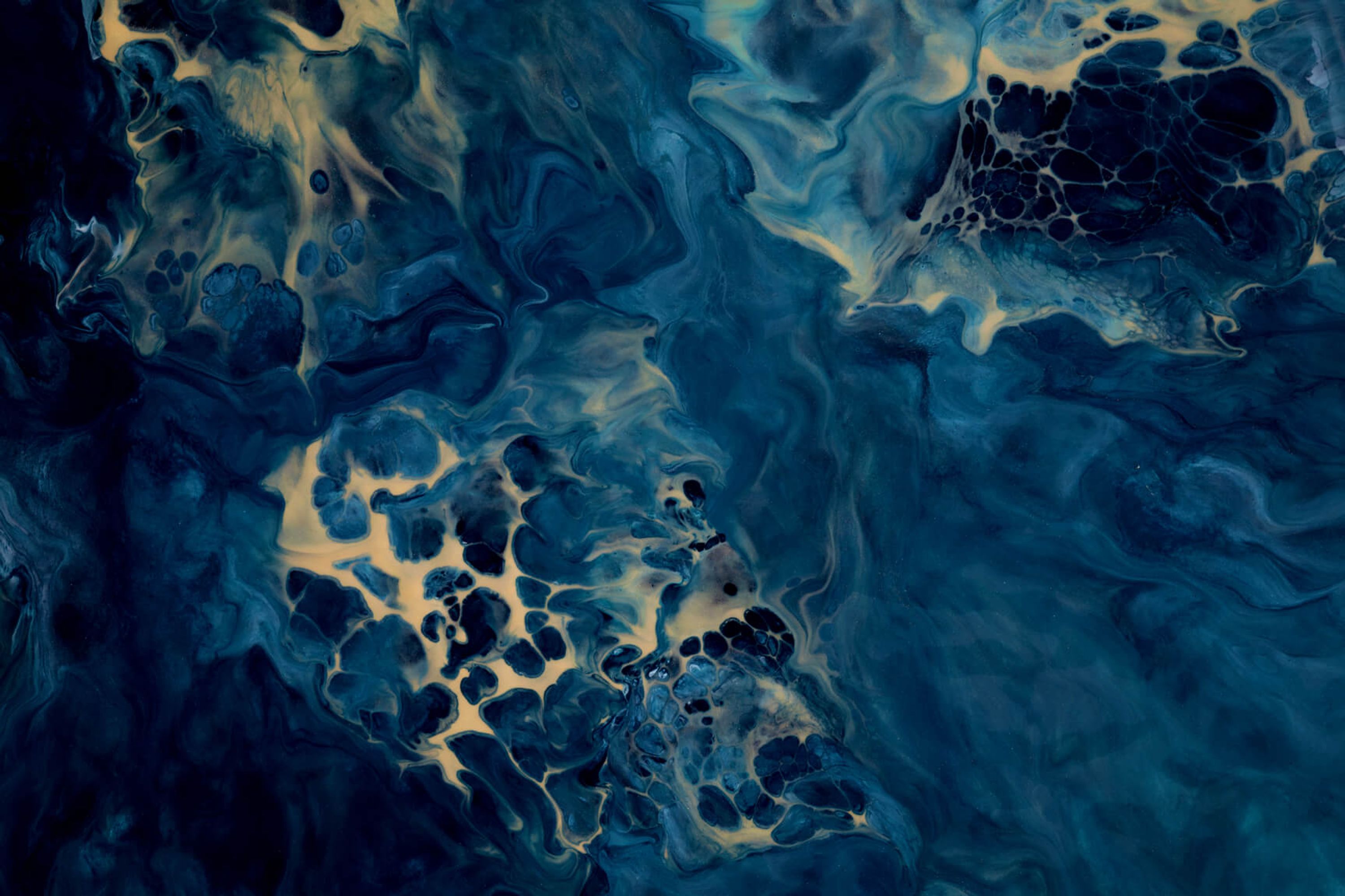 Veitenheimer Art Consultancy