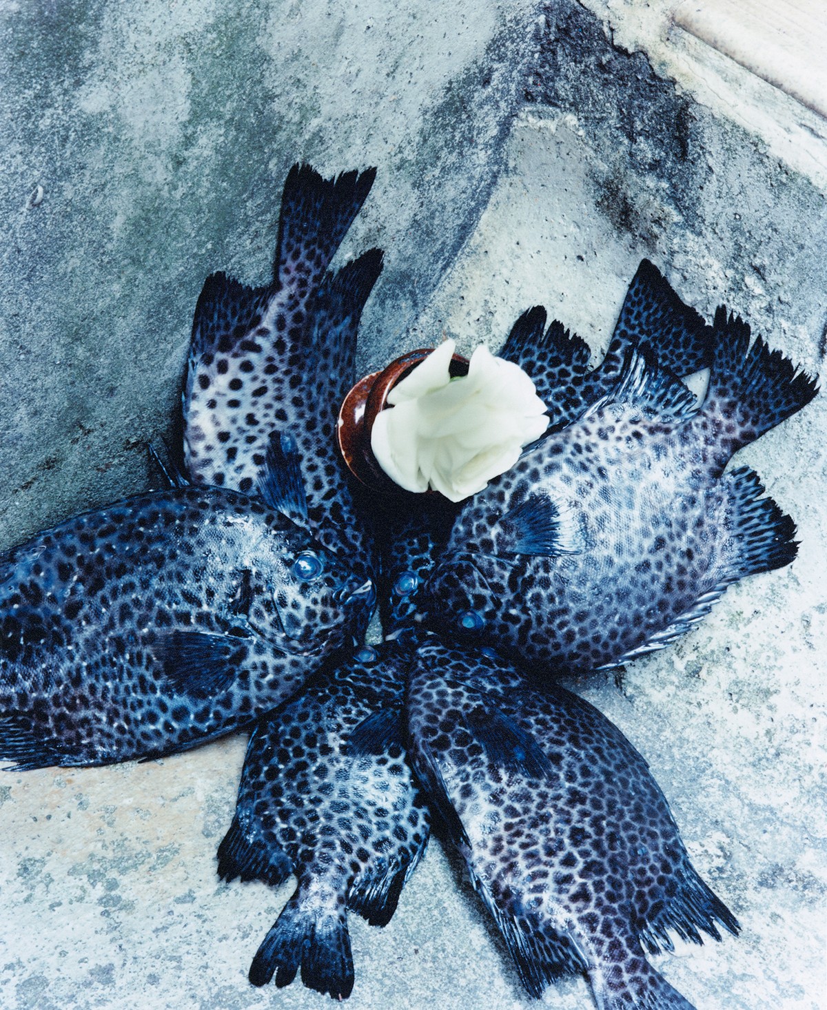 Naohiro Harada on improvised sculptures and Tokyo Fishgraphs (2020) / NOVEMBRE GLOBAL