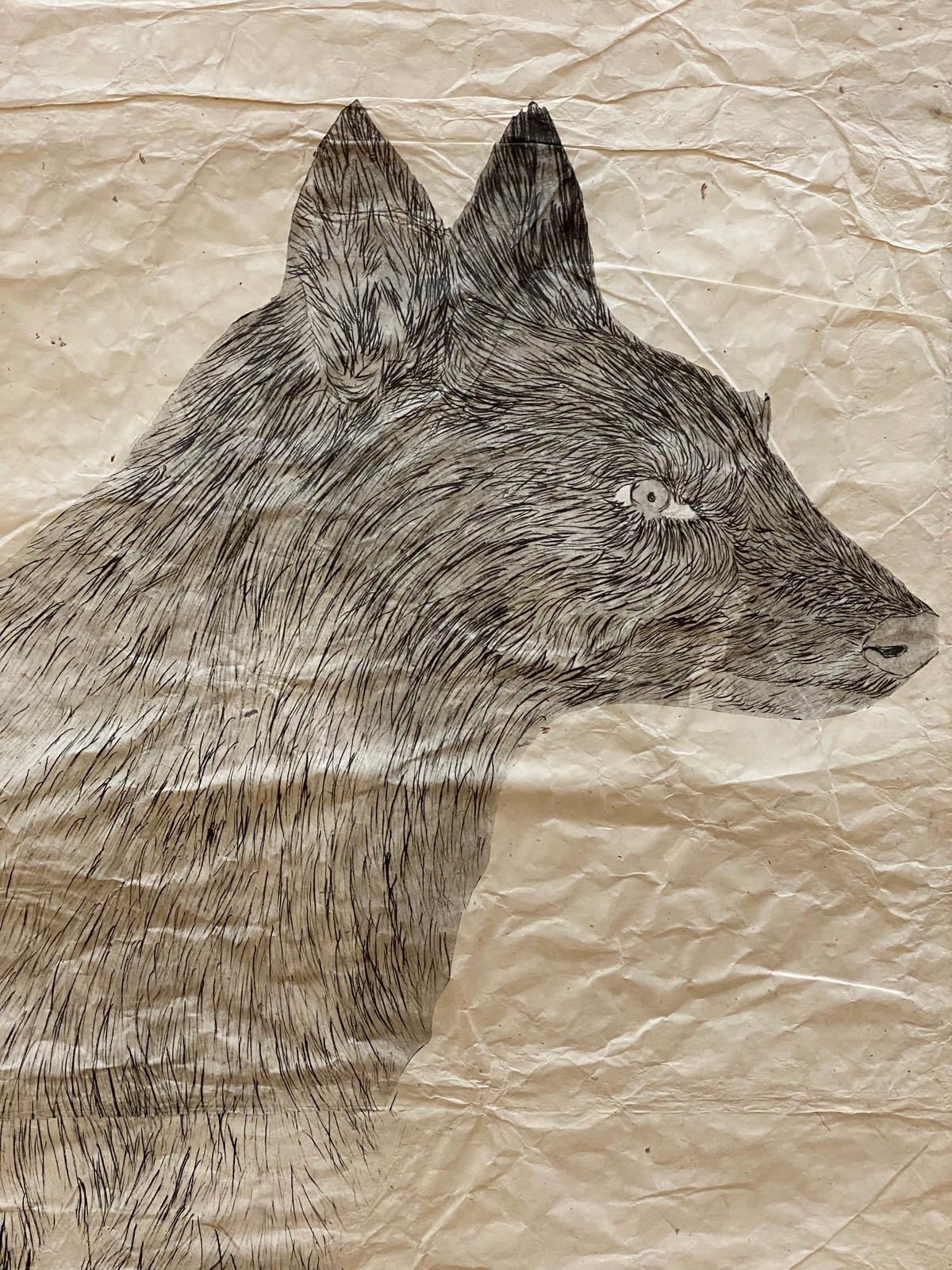 Kiki Smith: Hearing you with my eyes at MCBA / NOVEMBRE GLOBAL