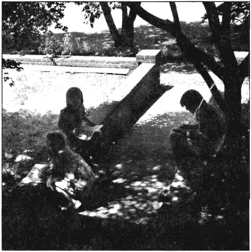 243. Sitting Wall | A Pattern Language Index