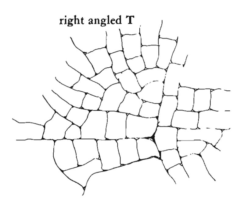 50. T Junctions | A Pattern Language Index