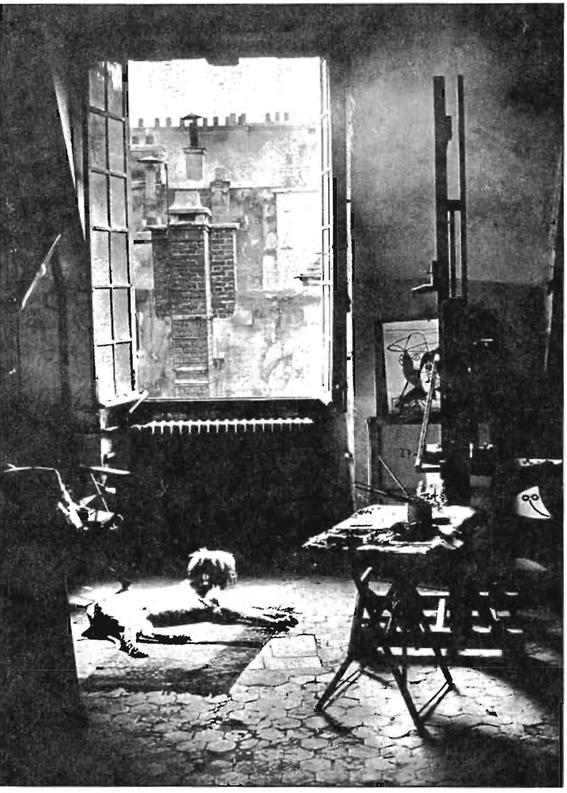 236. Windows Which Open Wide | A Pattern Language Index