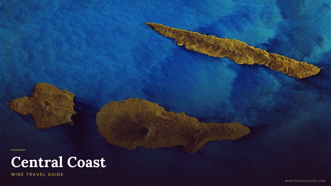 Central Coast Wine Region Guide (2026) — winetravelguides.com