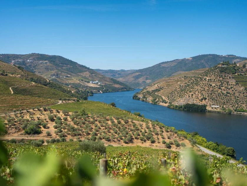 Douro Valley Wine Region Guide: Tours, Quintas & Cruises [2026 ...