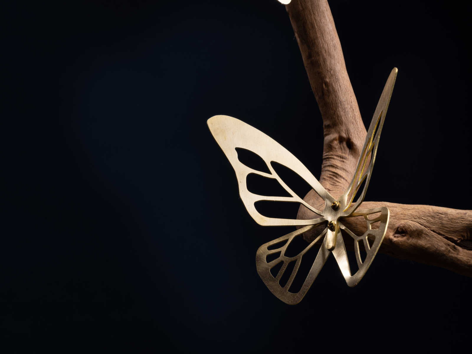 Blue Morpho Butterflies | Dead Puppet Society