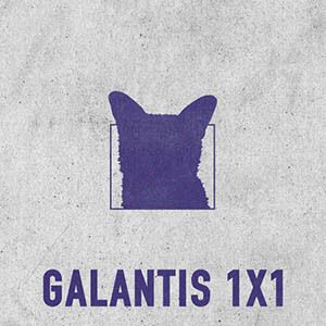Welcome to Seafox Nation