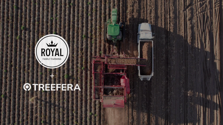 Resources & Insights | Treefera