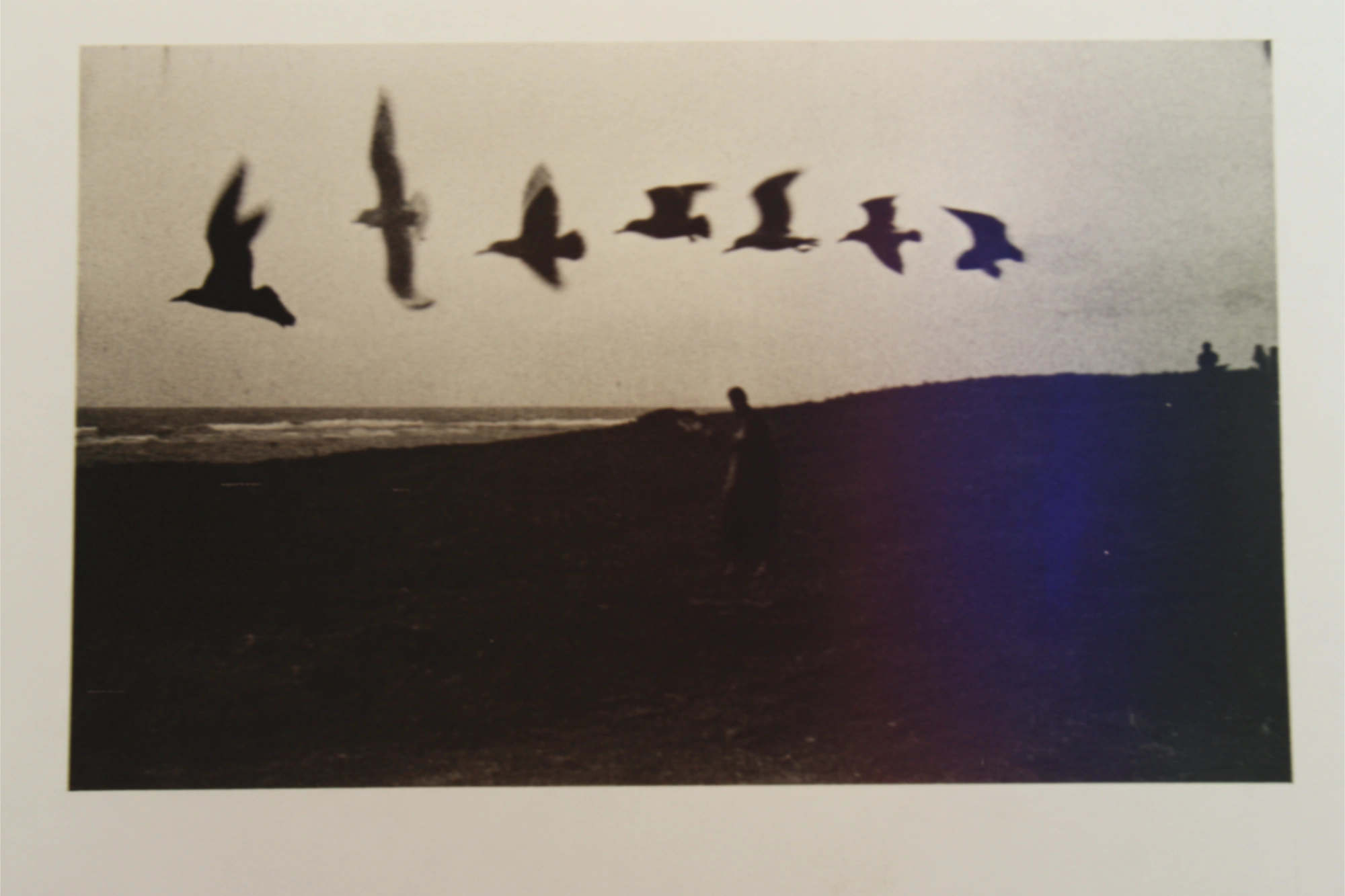 Three Poems by Sam Robinson | Soft Union