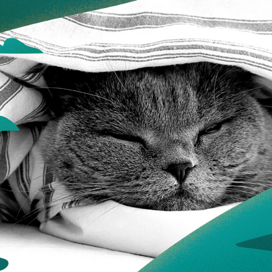 Sleeper Types: Heavy Sleepers | BetterSleep