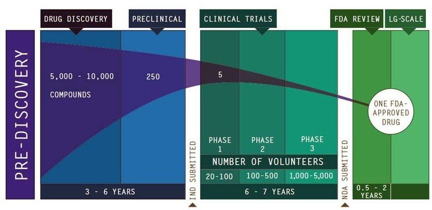 inVibe Insights – Imagine: inVibing the Drug Development and ...