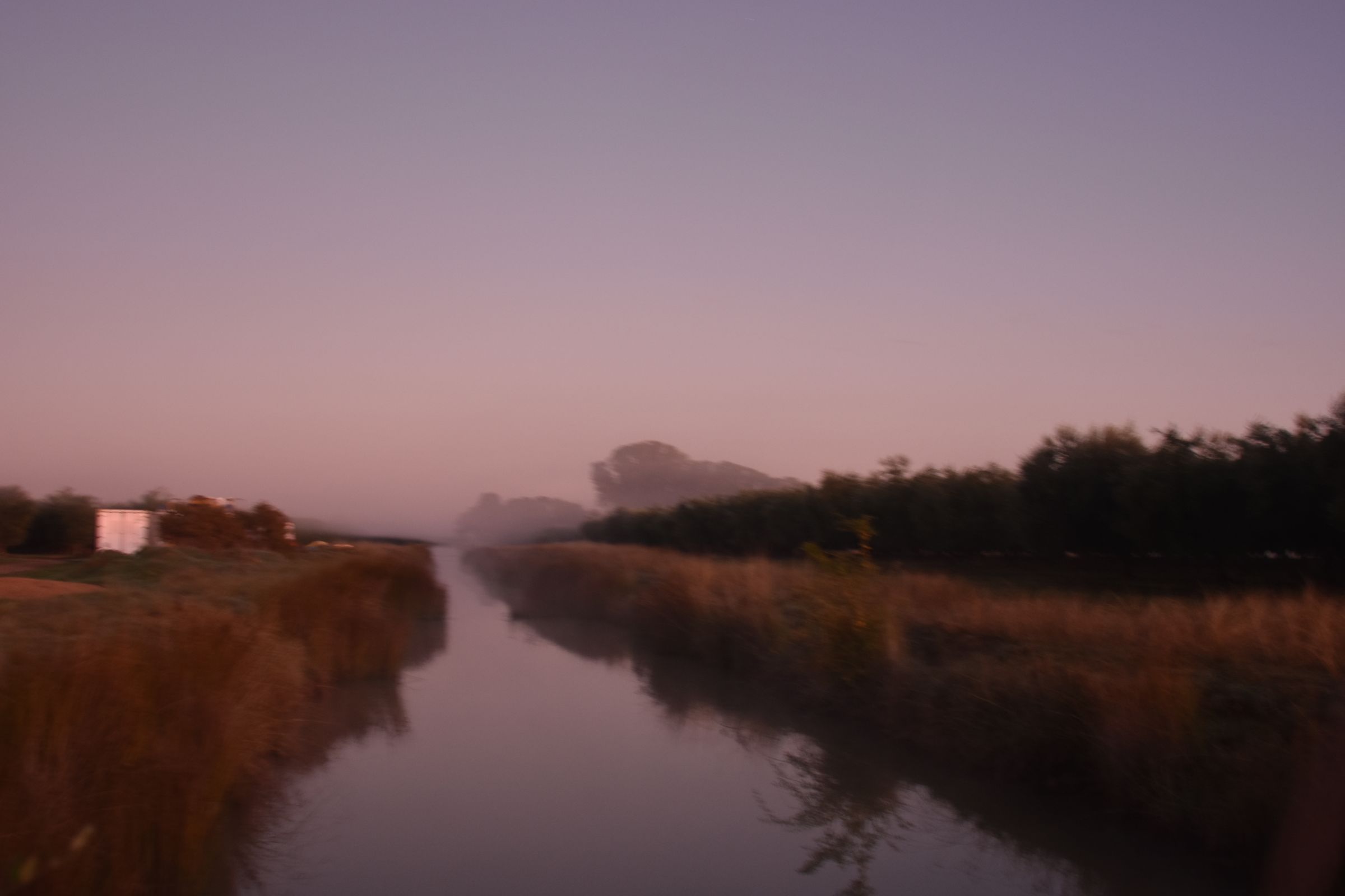 Oasis Olives • Home