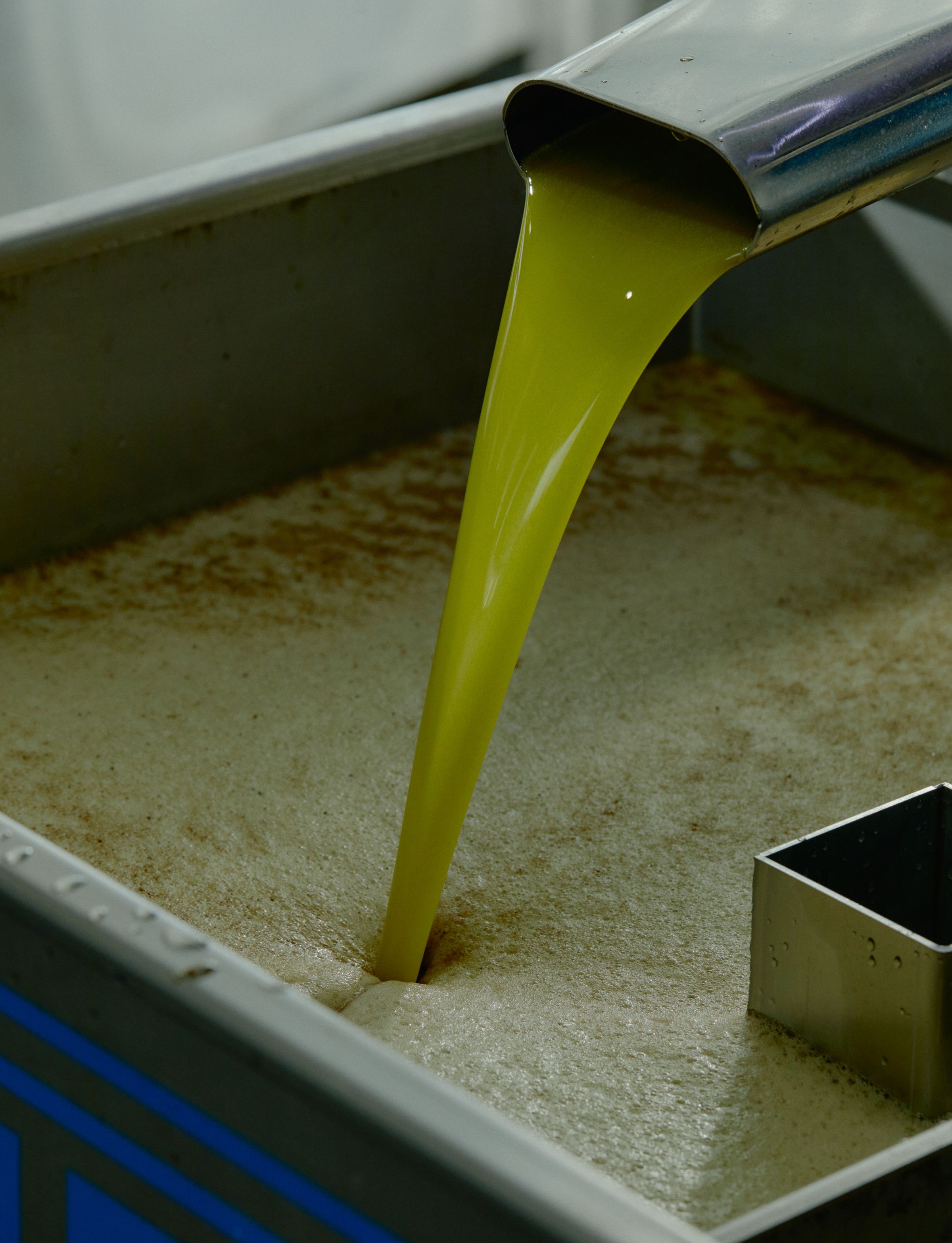 Oasis Olives • About us