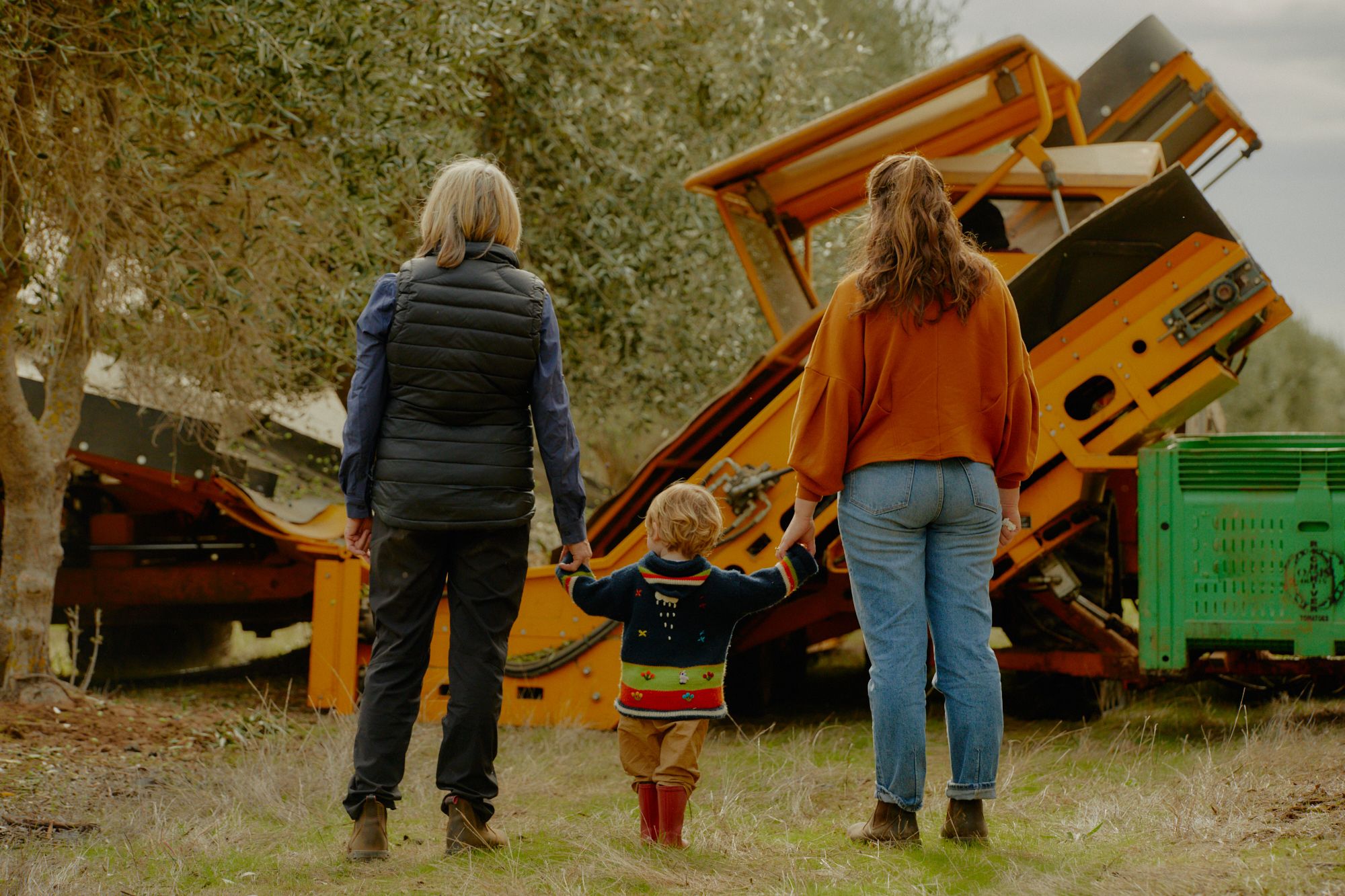 Oasis Olives • About us