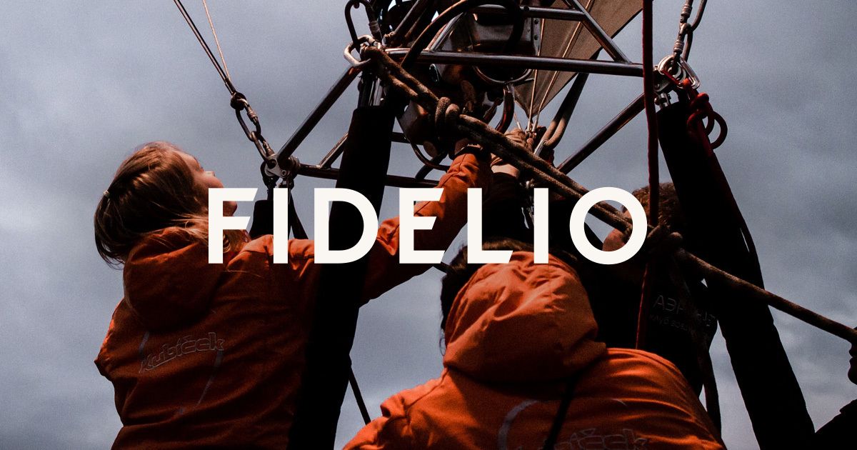 Fidelio Capital - Investments