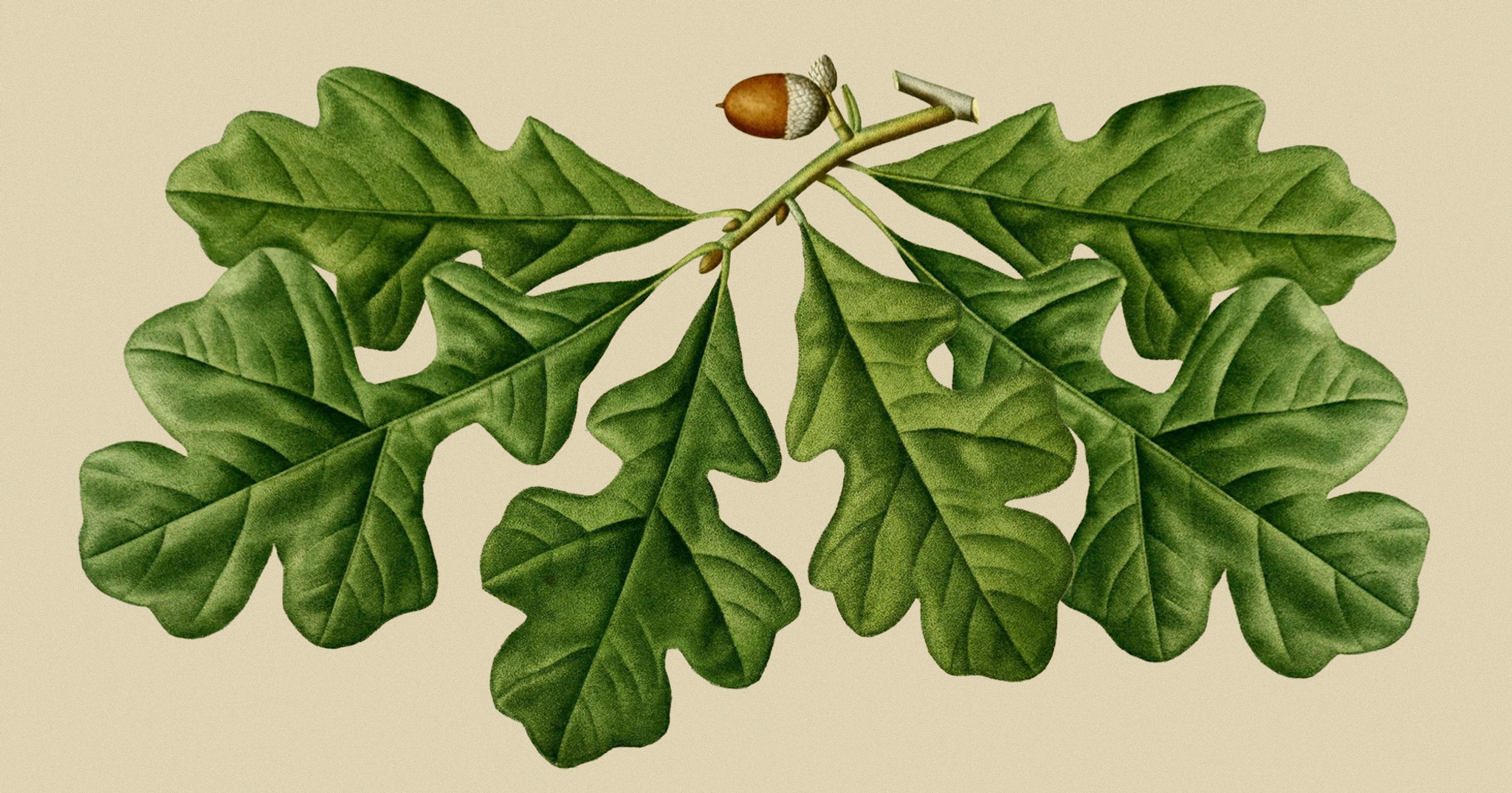 The Dust Bowl, 90 Years Later - Offrange