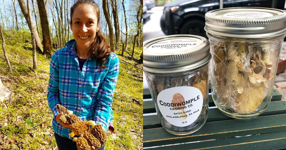 How Coddiwomple Canning doubled sales with financial clarity - Ambrook