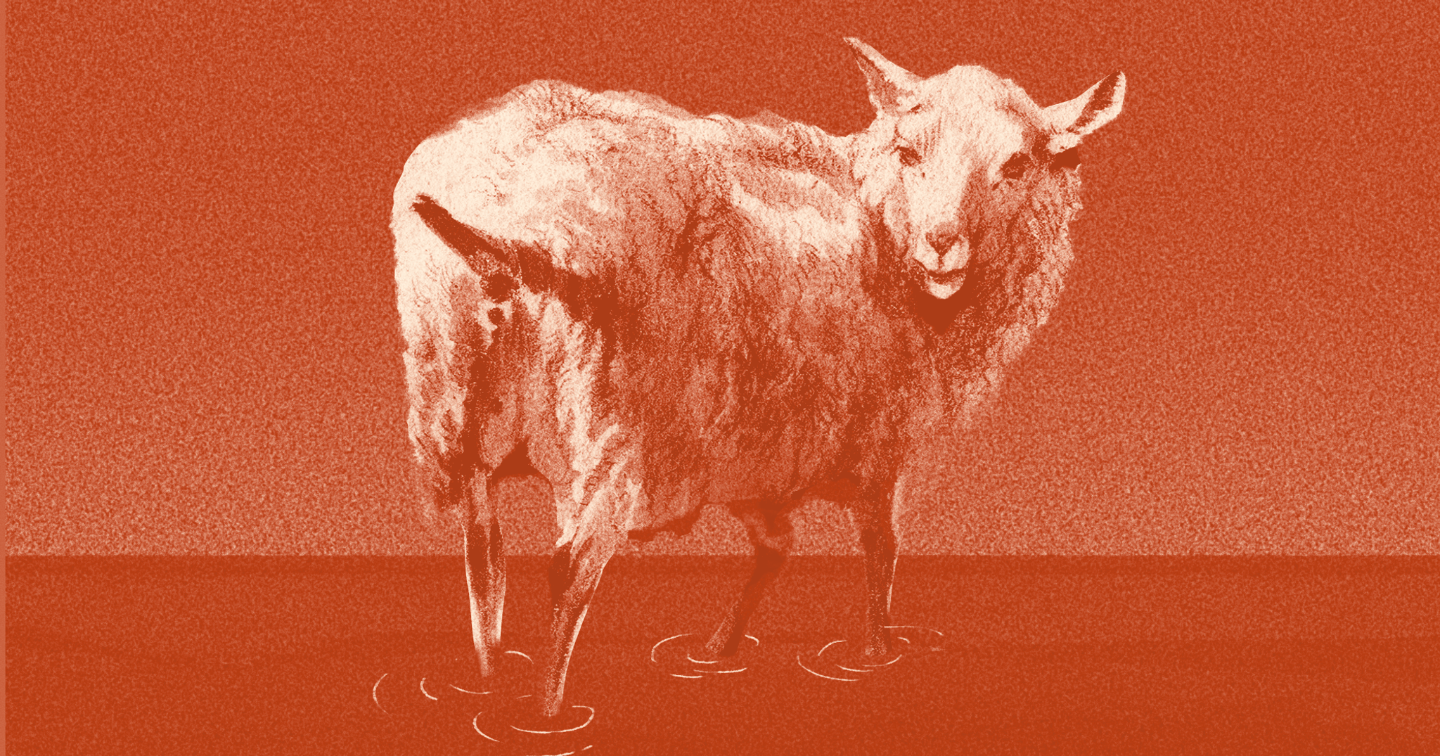 Whatever Happened to the Judas Goats? - Offrange