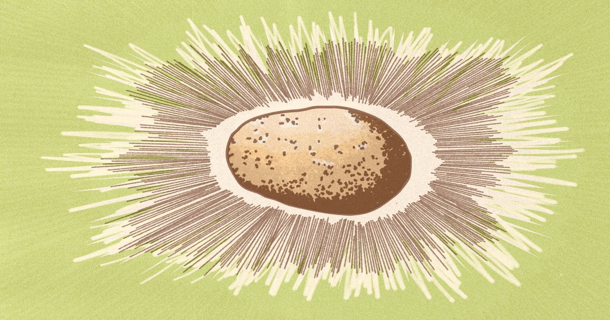 Nuclear Fallout and Potatoes - Offrange