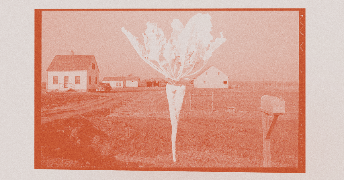 Farming Through Louise Erdrich’s Eyes - Offrange