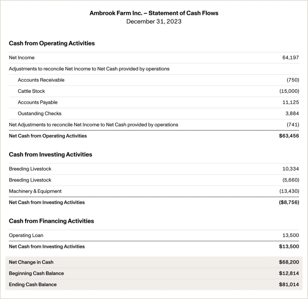 How to Read a Statement of Cash Flows - Ambrook