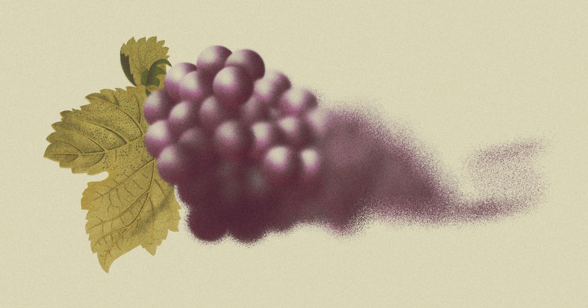 The World’s Fattest Deer Are Doing Just Fine - Offrange