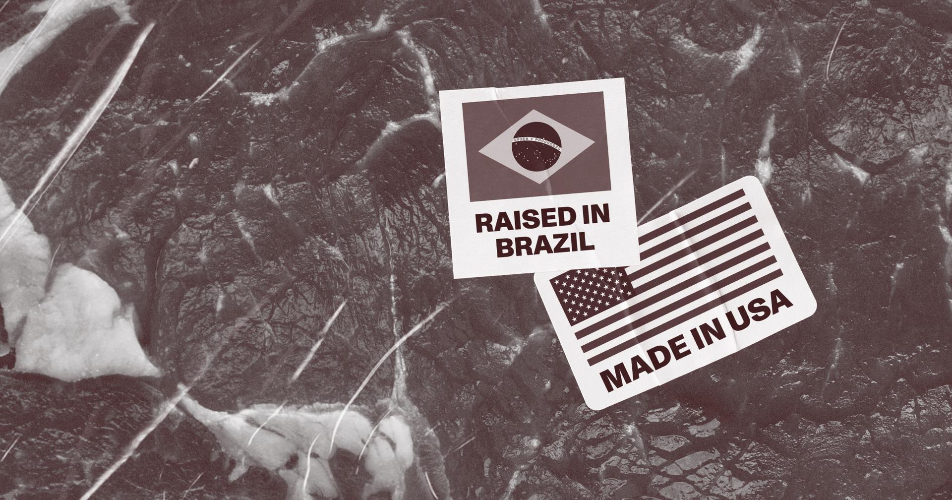 “Ghost Cows” and Spoiled Beef: The Ponzi Scheme That Rocked the Cattle ...