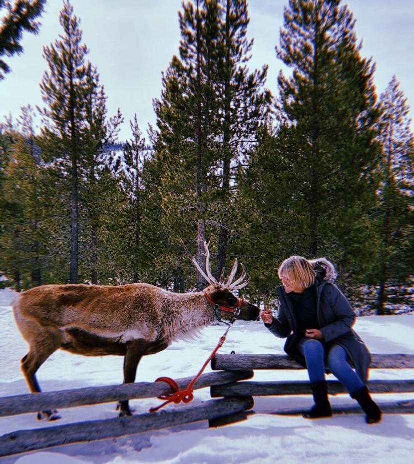 Water, Tourists, and Reindeer: How Windswept Ranch Built a Business ...