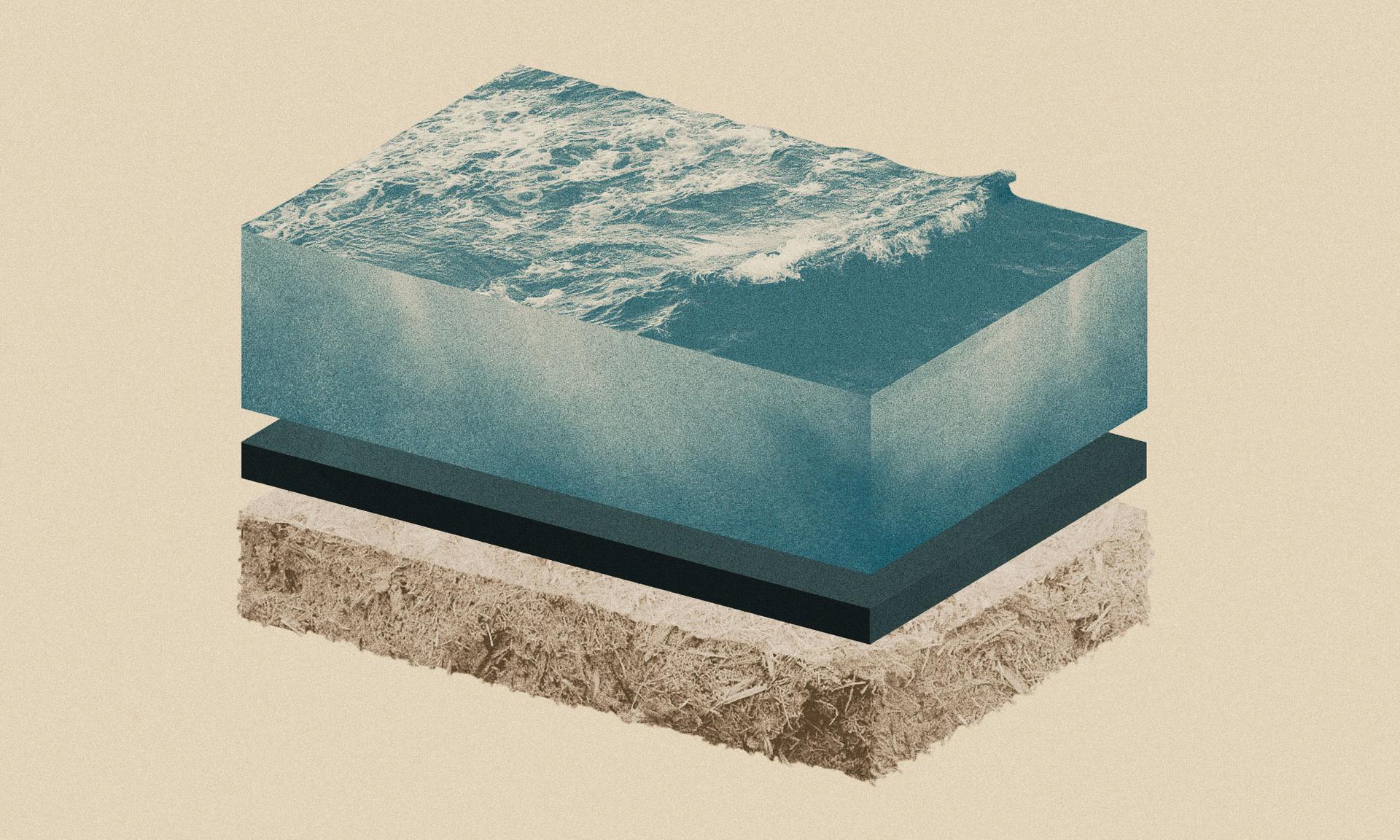 Dumping Crops Into the Deep Sea - Offrange