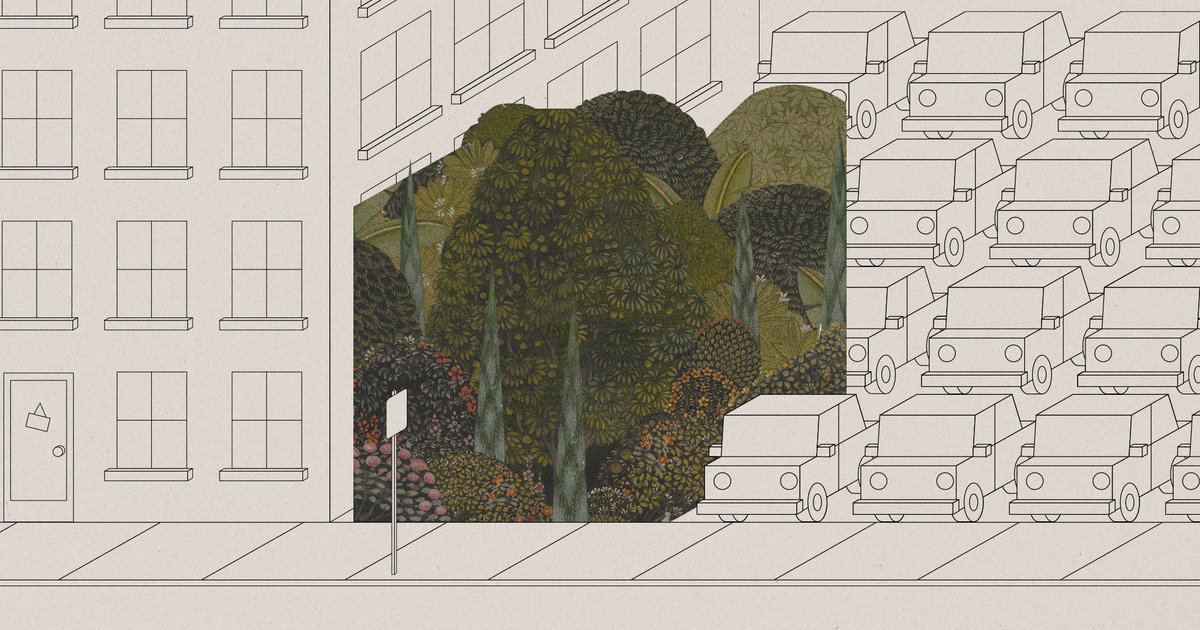 The Time Traveler’s Garden - Offrange