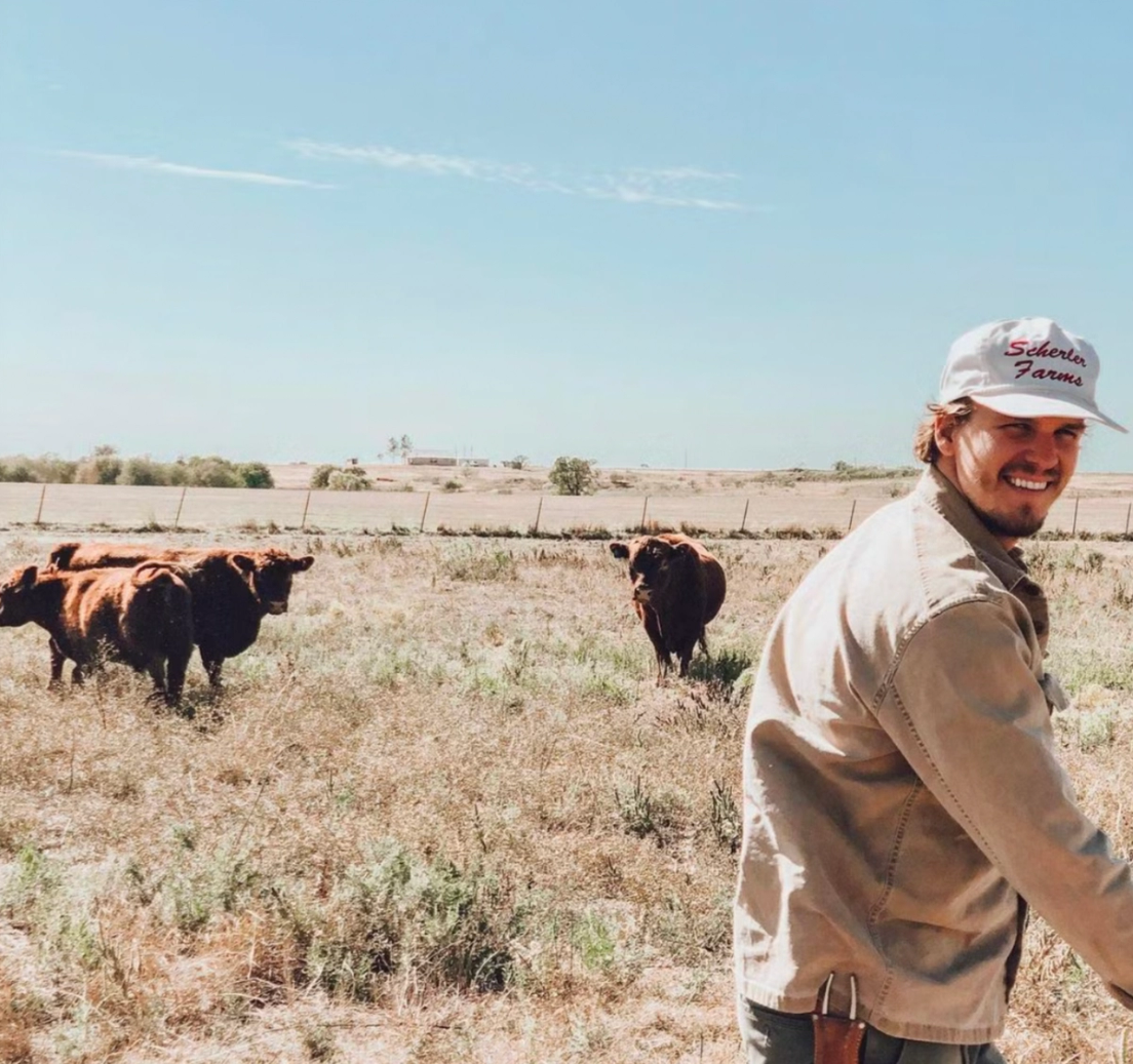 Ambrook vs QuickBooks Online