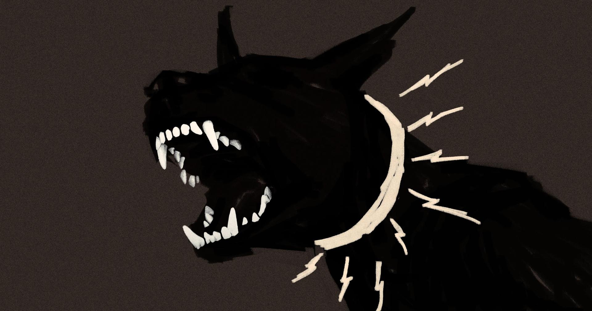 “Ghost Cows” and Spoiled Beef: The Ponzi Scheme That Rocked the Cattle ...