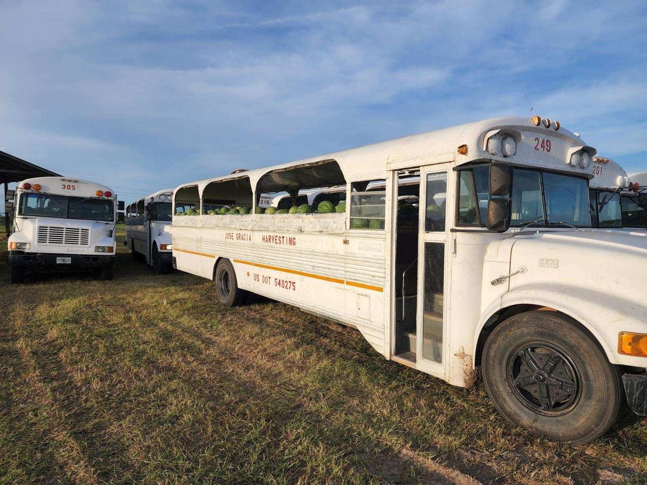 Hauling Watermelons in Souped-Up School Buses - Offrange
