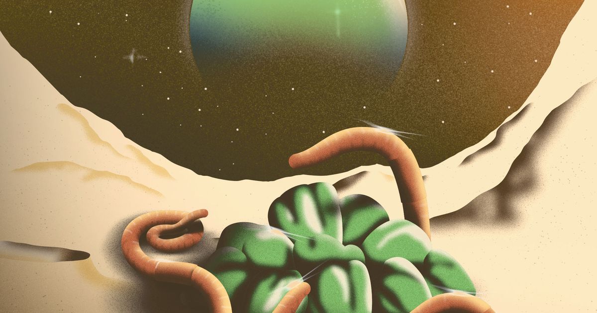 do space worms exist