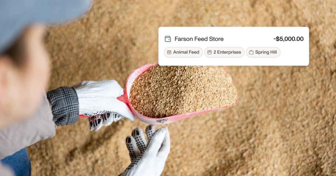 Building a Chart of Accounts that Works for You - Ambrook