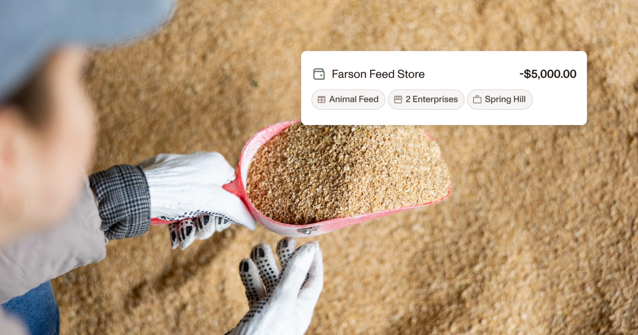 Building a Chart of Accounts that Works for You - Ambrook