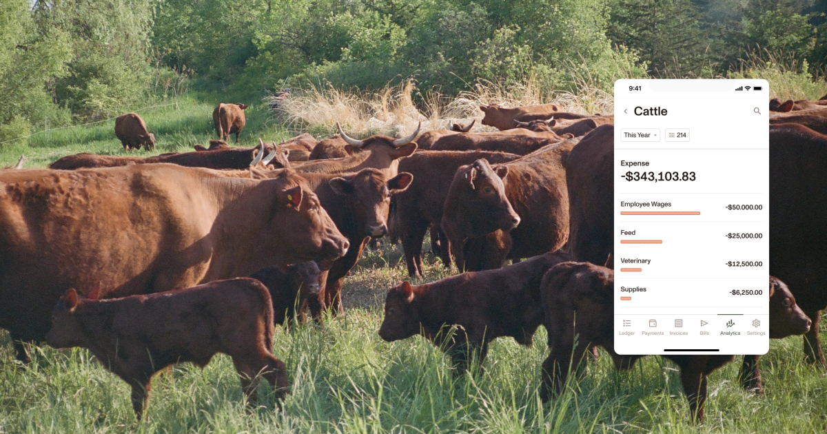 Accounting Beyond Taxes — Using Financial Data to Inform Farm ...