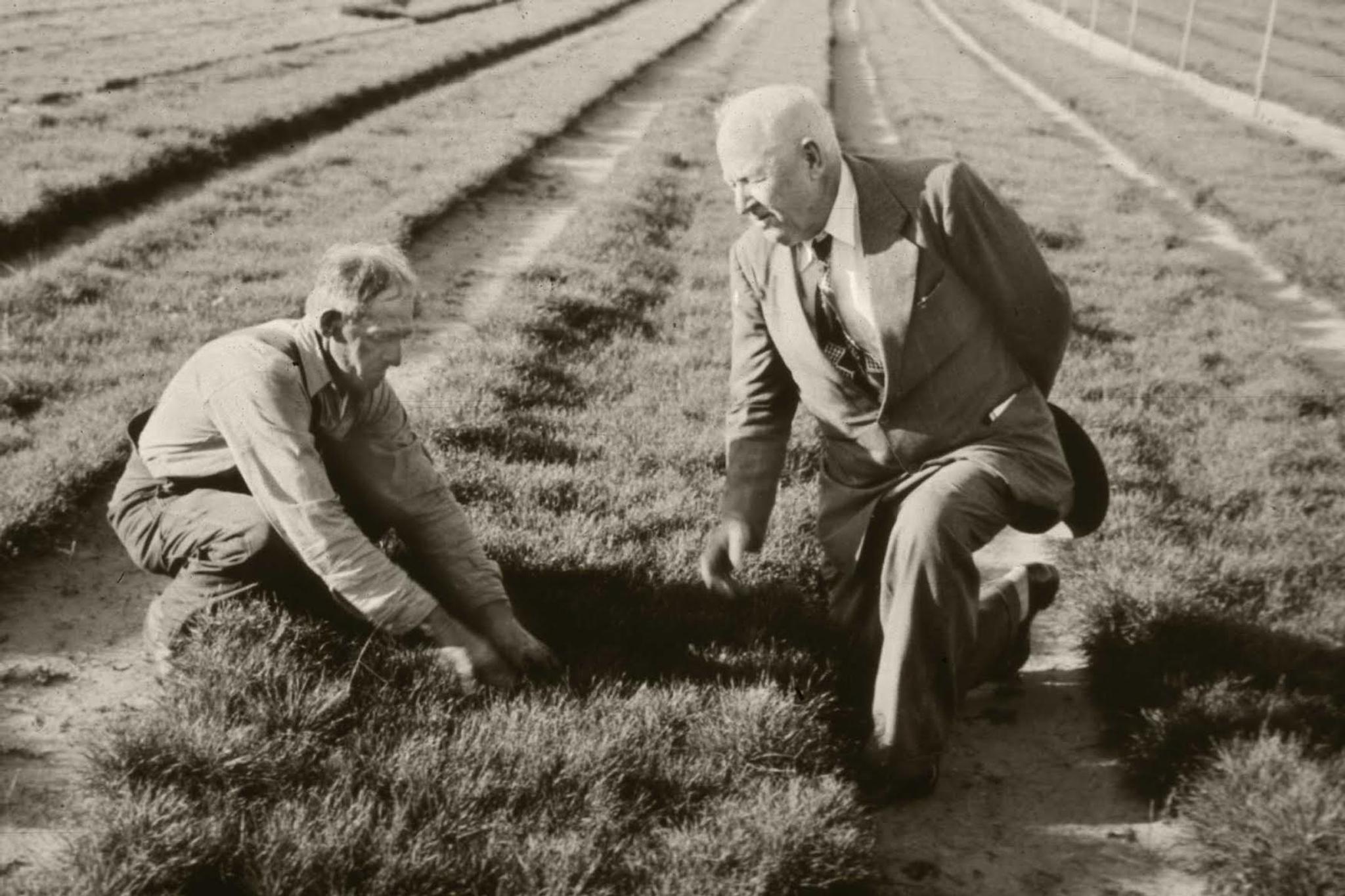 The Dust Bowl, 90 Years Later - Offrange