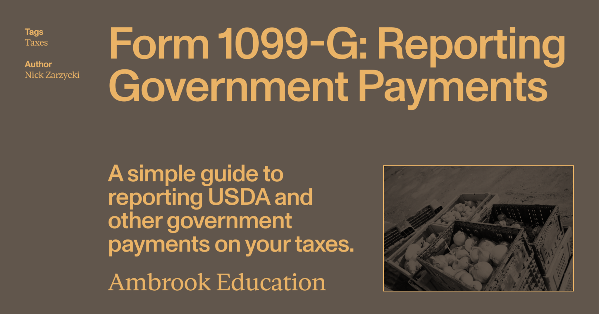 Form 1099-G: How to Report Government Payments on Your Taxes - Ambrook
