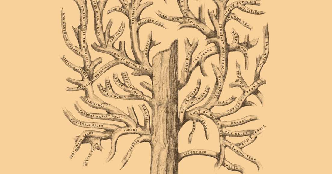 5 Common Chart of Accounts Problems and How to Solve Them - Ambrook