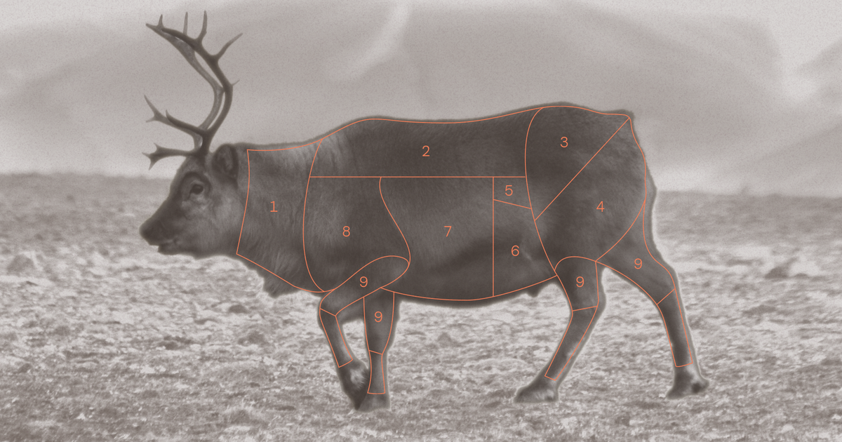 The World’s Fattest Deer Are Doing Just Fine - Offrange