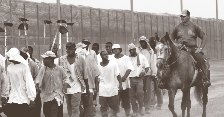 When Prisoners Perform Farm Work, Who Benefits? - Offrange