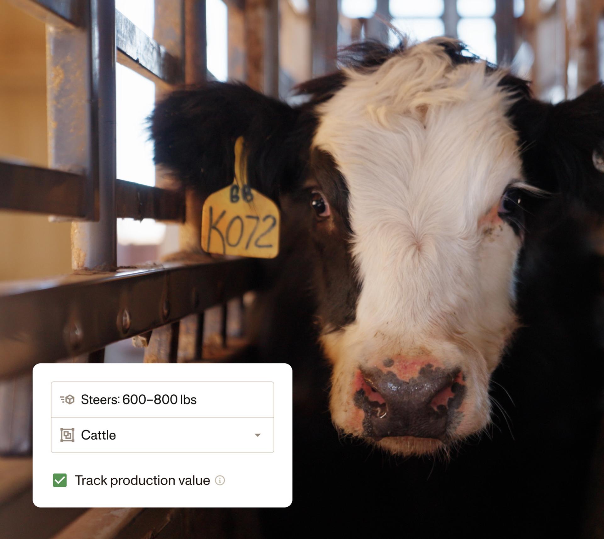 Watch: Modernizing Farm Finances - Ambrook