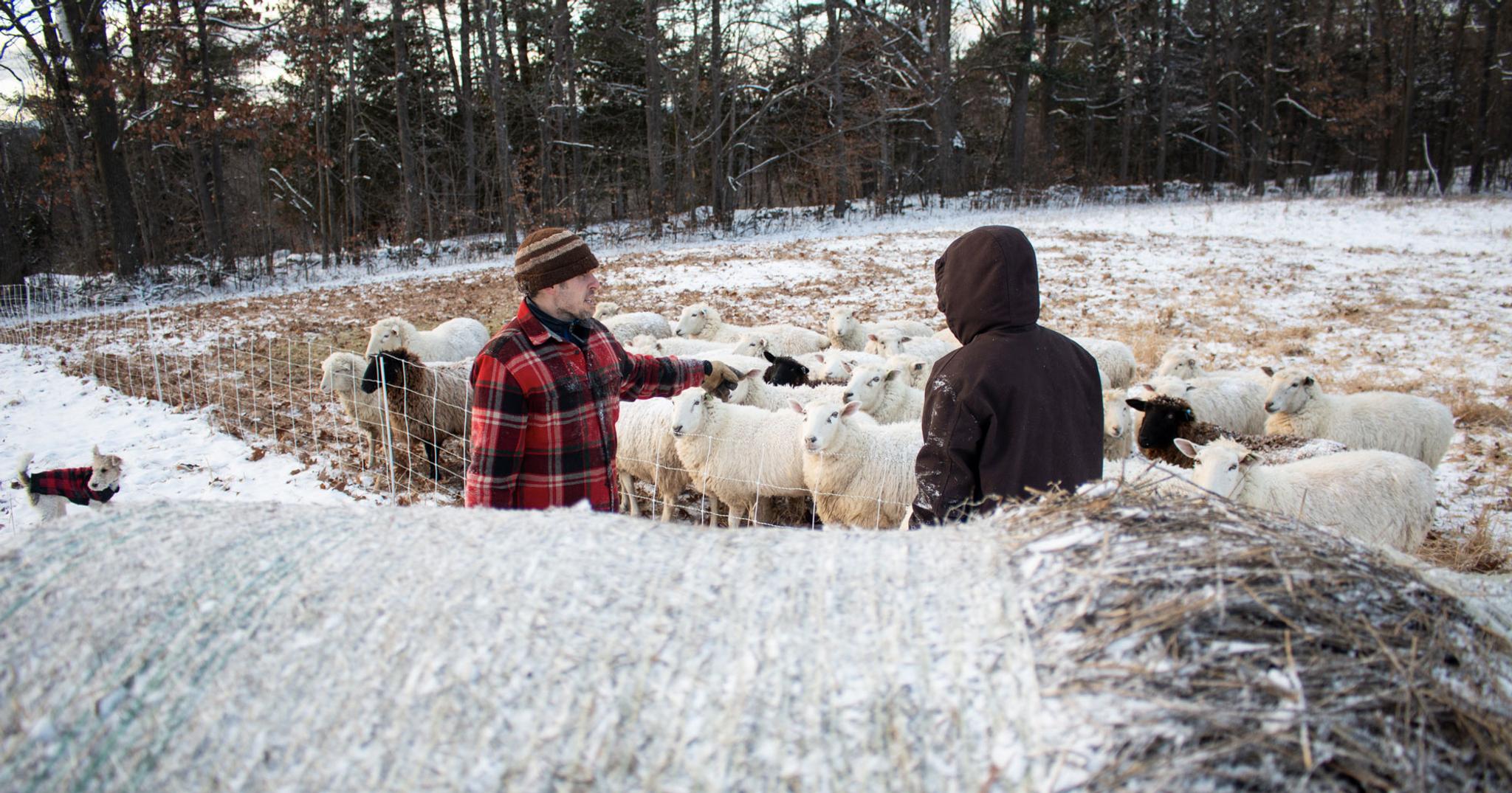 When Prisoners Perform Farm Work, Who Benefits? - Offrange