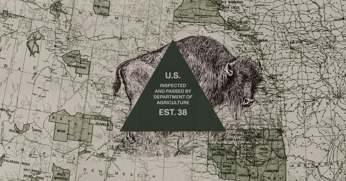 USDA Is Buying Bison From Small Native Producers - Offrange
