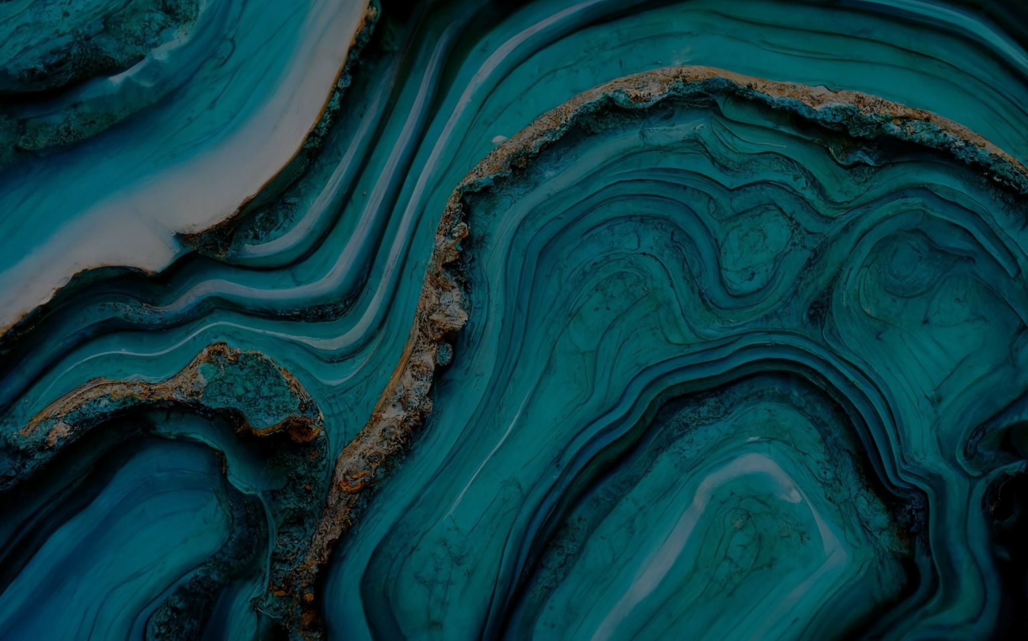 Learn More About Us | | One Eighty Collective